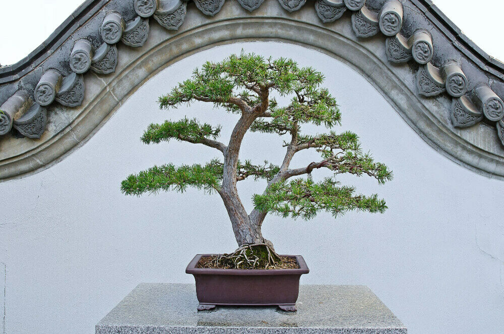 MuslimSG | 3 good deeds with unlimited rewards